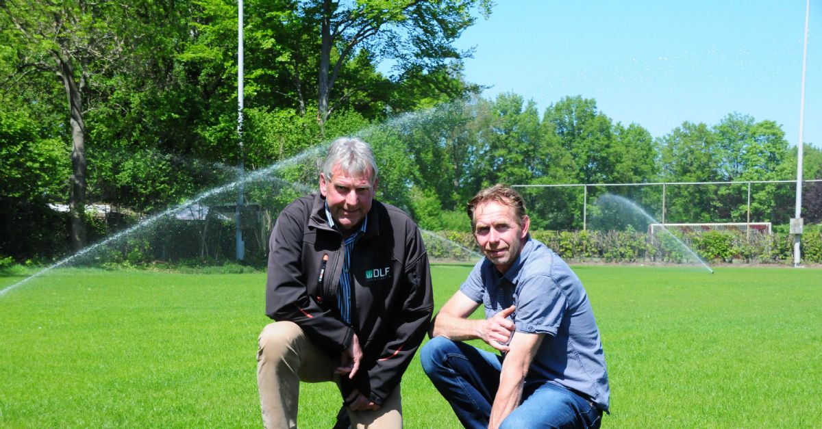 Al in maart een gesloten veld met een hoog aandeel veldbeemd