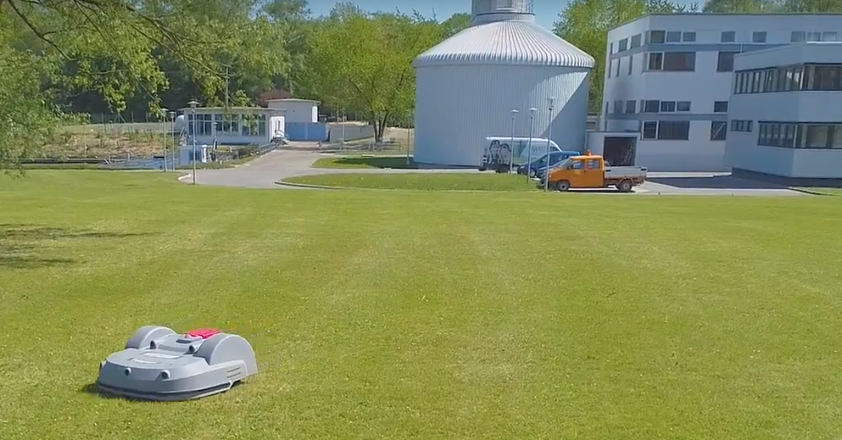 Strakke grasmat zonder sporen van een maaimachine