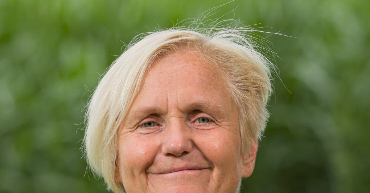 Gezonde grasmat met mycorrhizaschimmels