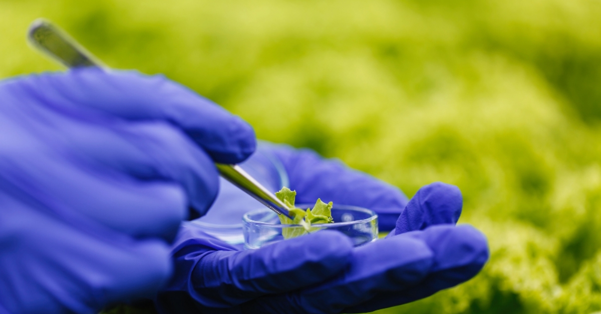 Europees Parlement zet seinen op groen voor CRISPR-Cas